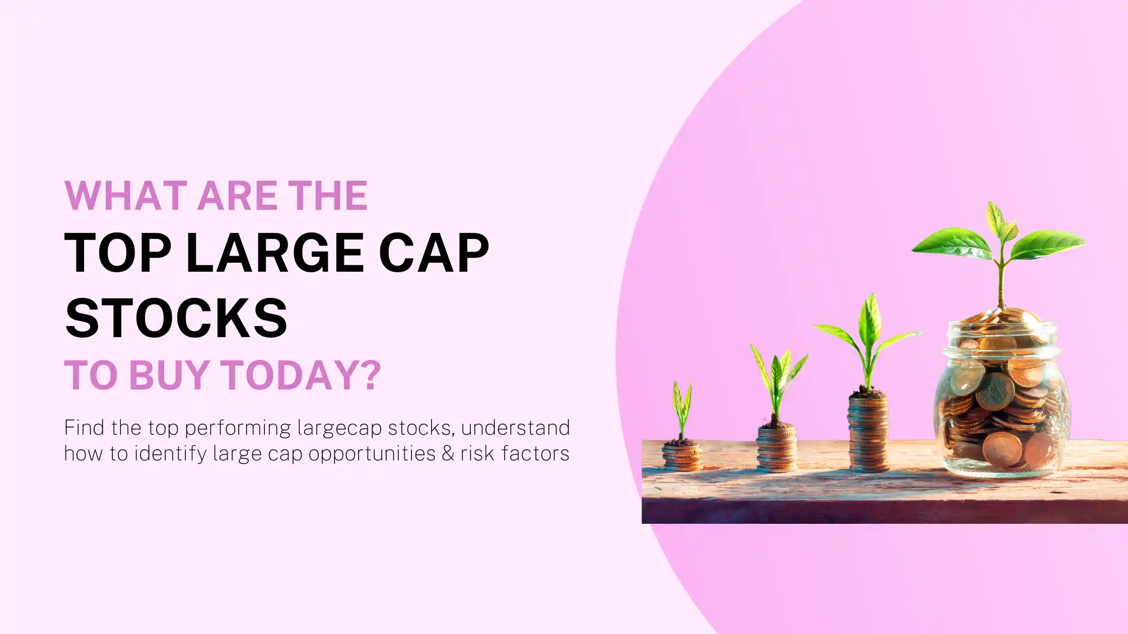 Best Large Cap Stocks to Invest In & Buy Today | Wright Blogs